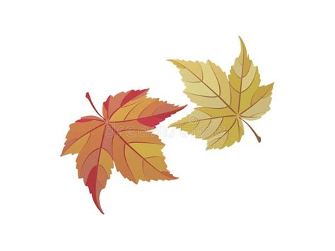 Autumn Leaves On White Background 3d Rendering Stock Illustration Illustration Of Rendering