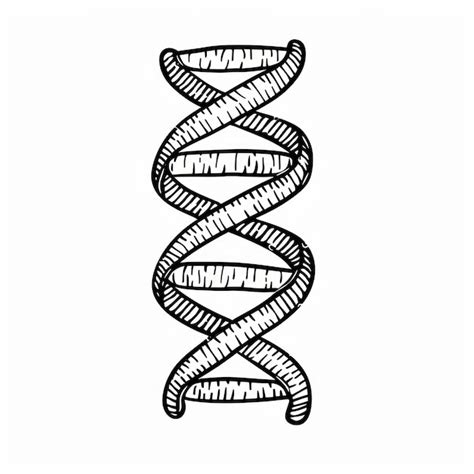 Helix Illustration Images Free Download On Freepik