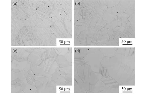 Microstructures Of Ti Nb Cr Alloys After Tensile Tests A