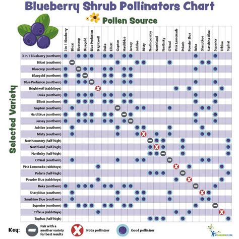 Blueberry Cross Pollination Chart Quick Chart Maker