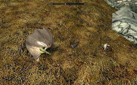 Lv Wildlife Mnc Patch Slal Adult Mods Loverslab