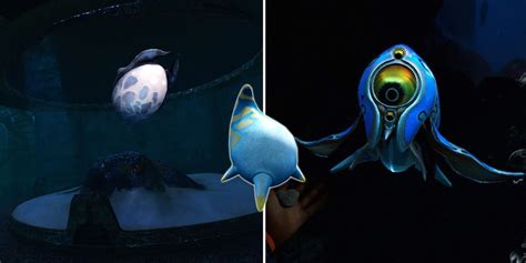 Subnautica Below Zero All Creature Egg Locations