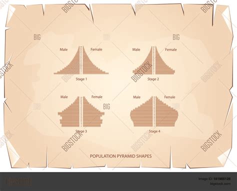 Population Demography Vector And Photo Free Trial Bigstock