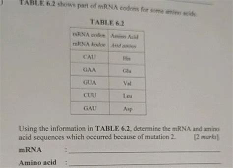 Table 6 2 Shows Part Of Mrna Codons For Some Amtine Selids Table 6 2 Thi
