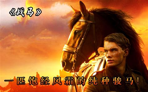 它是一部战争片，可从头到尾却没见一滴血，高分电影《战马》 顾我电影 顾我电影 哔哩哔哩视频