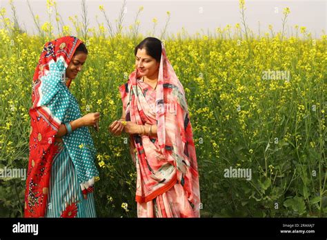 Happy Rural Indian Women Standing In A Mustard Field Enjoying The