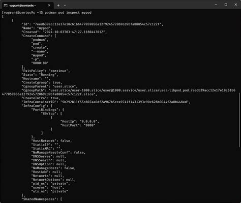 Podman And Pod Deployment Containerize Technology