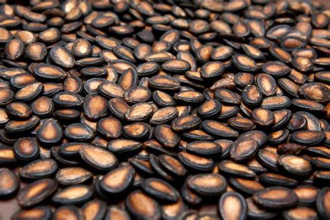 Roasted Watermelon Seeds Recipe