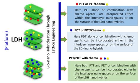 Ijms Free Full Text Bio Inorganic Layered Double Hydroxide Nanohybrids In Photochemotherapy