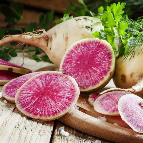 Bulk Radish Seeds Watermelon Bulk Seed Store