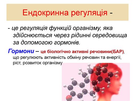 Гуморальна регуляція Ендокринна система людини презентация онлайн