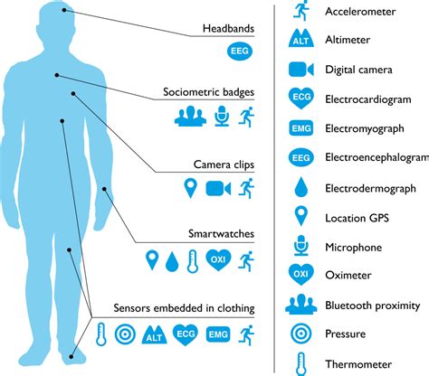 Wearables And Wellness Programs The Complete Guide 2024