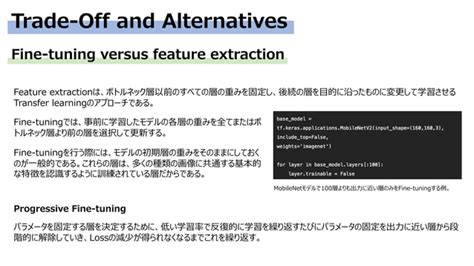 Machine Learning Design Pattern Transfer Learning Ppt