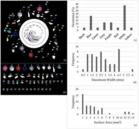 Beta Testing An Ai Based Physical Analysis Technology For Microplastic Quantification And