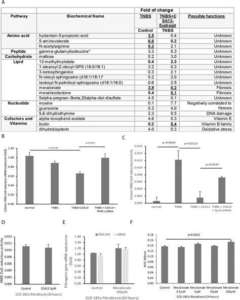 Fecal Metabolomic Analysis Revealed The Relevance Of Hmg Coa Reductase