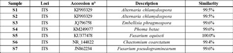 Phylogenetic Relationships Among 7 Endophytic Fungi Derived From