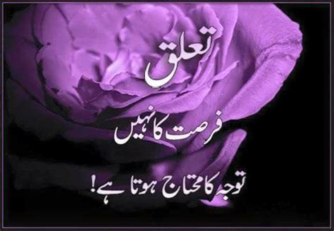 262 Best Images About Aqwal E Zareen On Pinterest Allah Ali And
