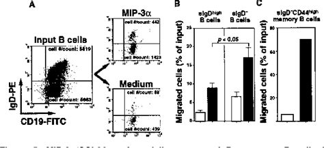 Figure 1 From Regulation Of Ccr6 Chemokine Receptor Expression And