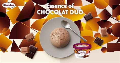 ショコラ デュオ｜häagen8｜ハーゲンダッツ ジャパン Häagen Dazs