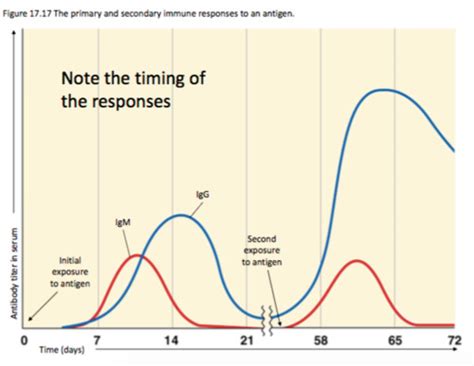 Unit 4 Exam Ch 17 Flashcards Quizlet