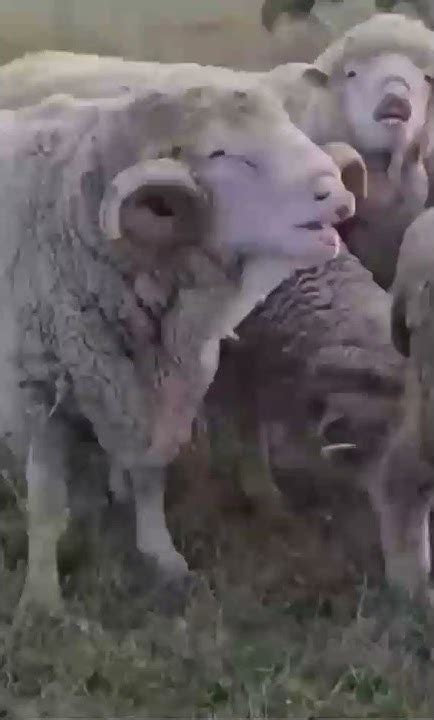 Когда сделала себе губы прикол Youtube