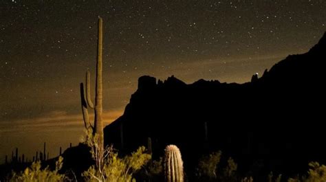 Stargazing At Organ Pipe Cactus National Monument A Celestial
