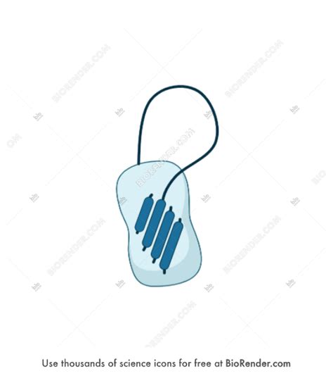 Free Serpin Icons Symbols And Images Biorender