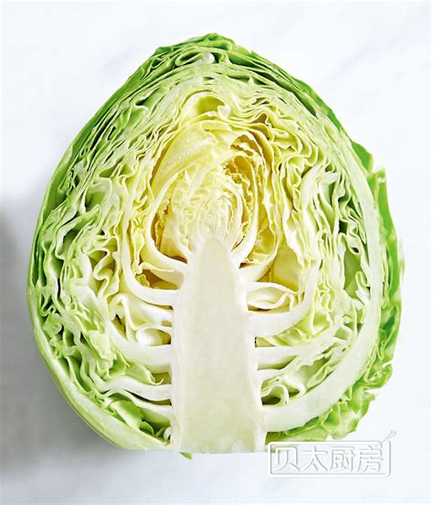 香甜清脆卷心菜食材研究室 搜狐
