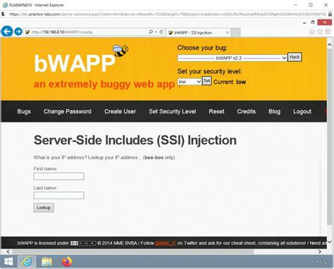 Exploiting Web App Vulns