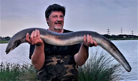 Eel Breaks British Record After 46 Years Angling Trust
