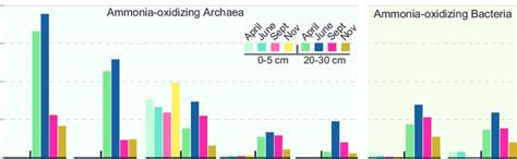 Nitrogen Cycle Genes Present In Selected Metagenome Assembled Genomes