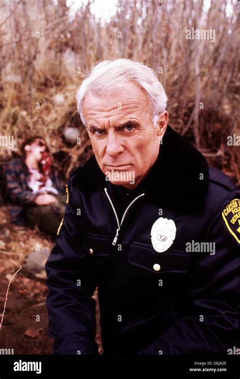 Robert Conrad 1993 Als Drei Teenager Brutal Ermordet Werden Schwoert
