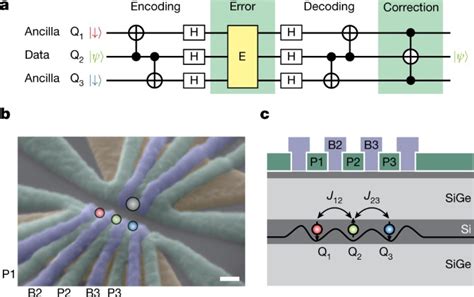 RIKEN Si量子ビットで量子誤り訂正を実現 Correction d erreur quantique avec qubits Si