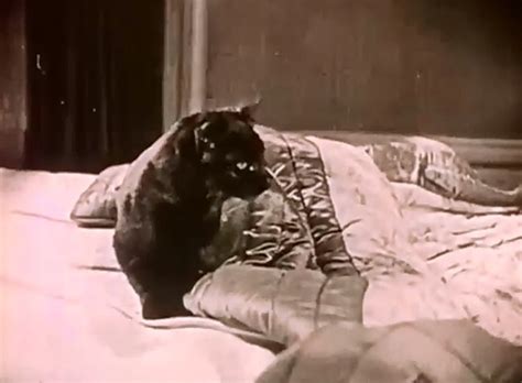 Seven Years Bad Luck 1921 Cinema Cats