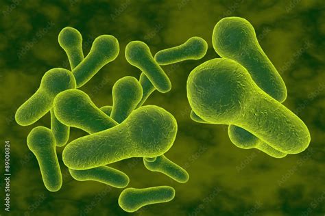 Microscopic Illustration Of Clostridium Tetani Clostridium Perfringes Clostridium Difficile