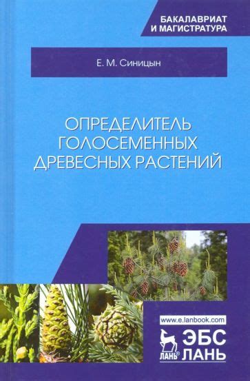 Книга: "Ботаника. Учебник для вузов" - Яковлев, Гончаров, Повыдыш ...