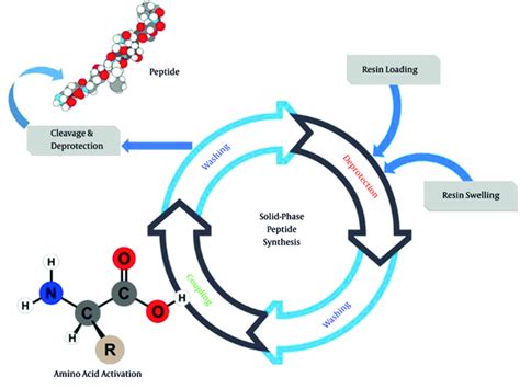Chemical Wastes In The Peptide Synthesis Process And Ways To Reduce