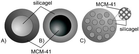 Shows The Primary Quantity Obtained Using PFG NMR Namely Spin Echo