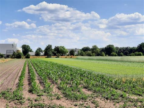 Wat Is Regeneratieve Landbouw Denkavit