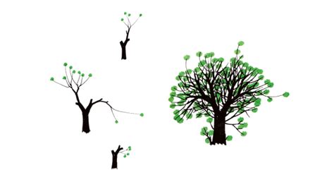 Tree Drawing A Beginner S Guide To Drawing Trees CareerGuide