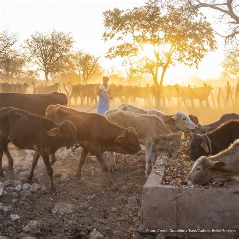 Prepare Action Planpdf Usaid