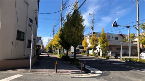 11月24日木にセブンイレブン 川口前川3丁目店がオープンしたようです川口マガジン