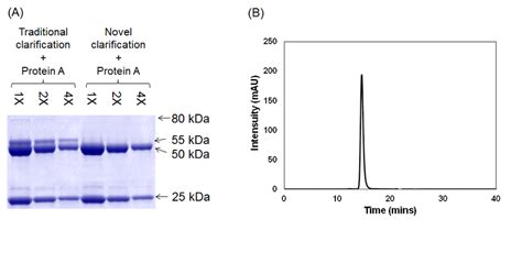 Quality Analysis Of Biosimilar Trastuzumab Purified Using Improved Download Scientific Diagram