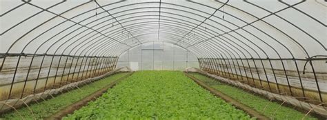 Iot Sensor Iot Soil Sensor