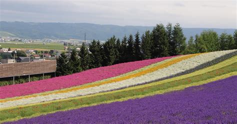 地理教室，無國界 高二第三冊東北亞補充資料~日本旅遊~又見富良野