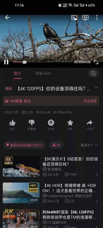 哔哩哔哩电视端apk下载 哔哩哔哩电视版1 6 6优化版1080p修改版本 精品下载