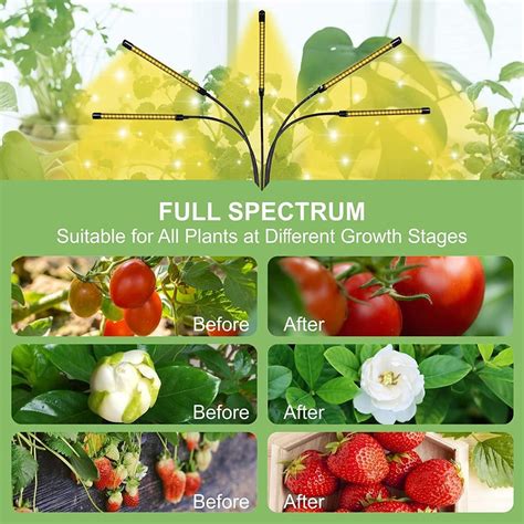 Keelixin Grow Lights Review Stress Free Grow Guide