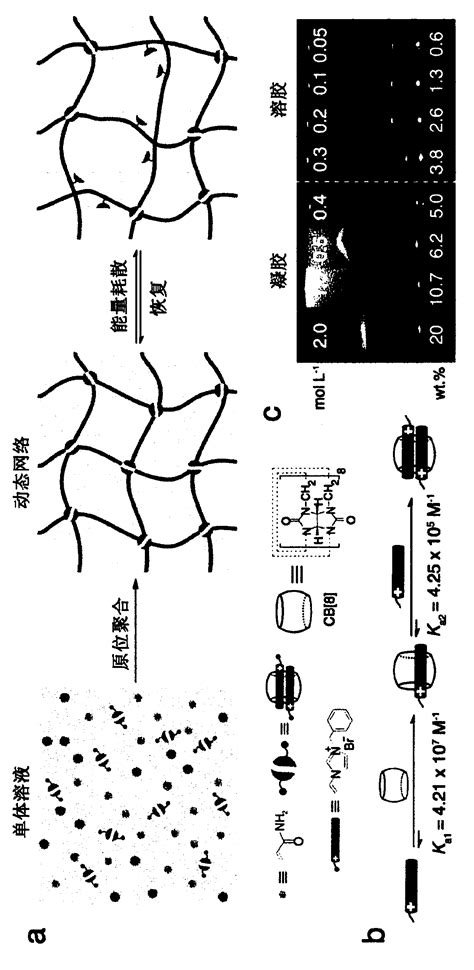 Cucurbituril Based Hydrogels Eureka Patsnap