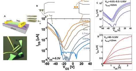 Figure 1 From Thickness Tunable Transport Properties In Mathbf Mote Mathbf 2 Field