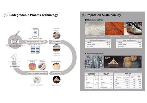 Mycel Introduction Pdf